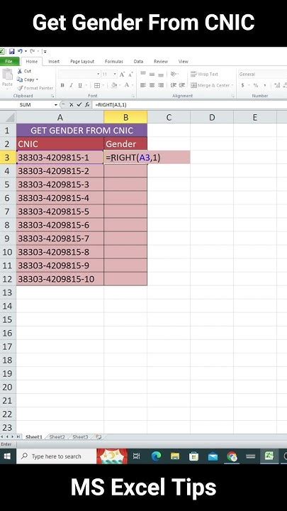 How To Add Automatic Borders When Data Is Inserted In Ms Excel Ms