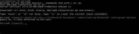 Instalasi Dan Konfigurasi Database Server Mariadb Pada Debian 11