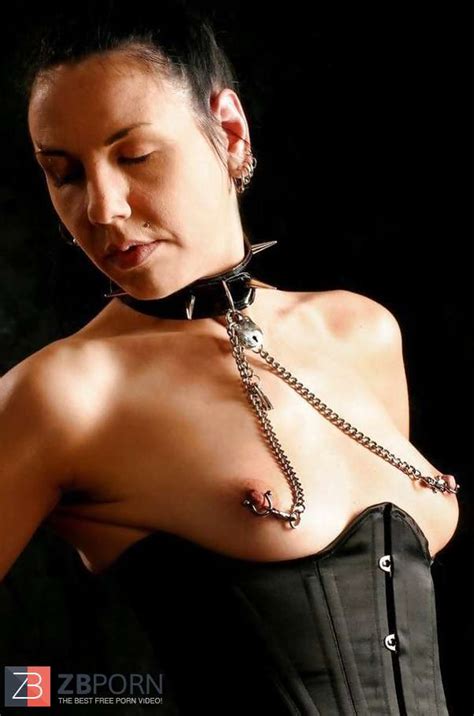 Fresh Wild Stuff Zb Porn