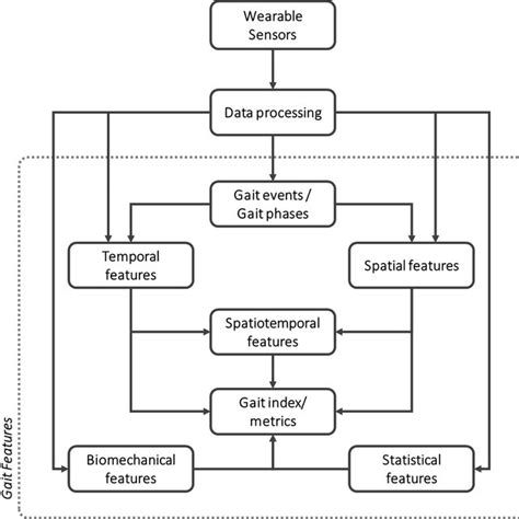 Classification Of Gait Features That Are Extracted From Wearable Download Scientific Diagram
