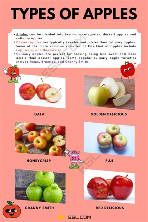 Types Of Apples In English • 7esl