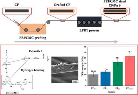 通过电化学氧化和聚乙烯亚胺 羧甲基纤维素接枝提高长碳纤维增强聚酰胺6复合材料的界面粘合力 Acs Omega X Mol