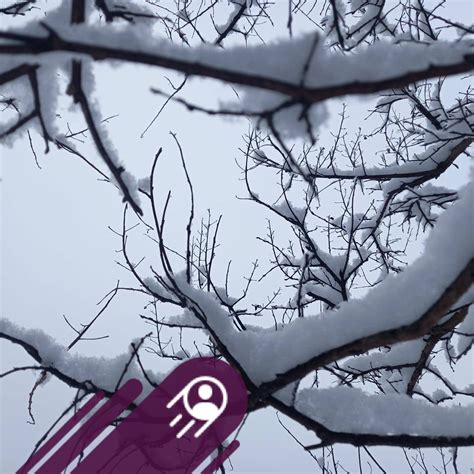 흥순 넓은 길로 가지말고 좁은 길로 가라고 하신 까닭은 마태오 복음 7장 13 14 좁은 문으로 들어가라 루카 1324