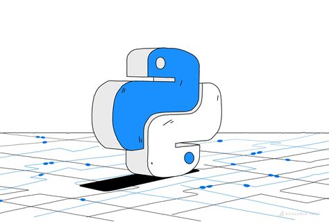 The Key Motivations Behind Pythons Popularity In 2025