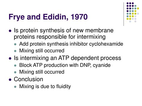 Ppt Lipids Membranes And The First Cells Powerpoint Presentation Id