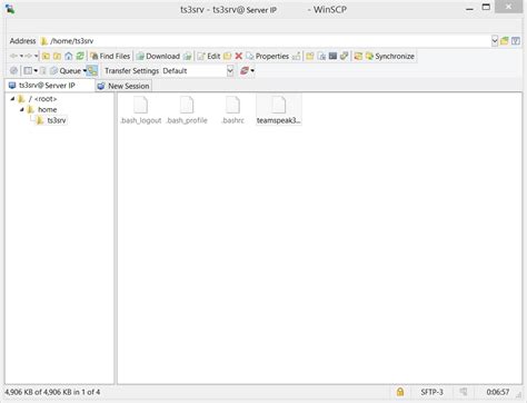 How To Set Up A Teamspeak Server On Centos 7 Atlanticnet