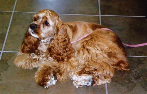 Peyton Age 3 The Buzz Magazines