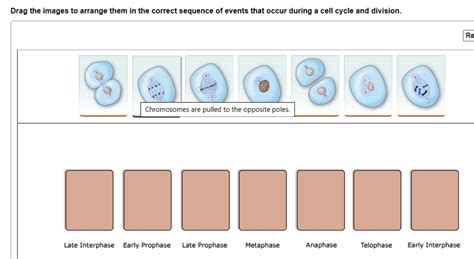 [GET ANSWER] Drag the images to arrange them in the correct sequence of events that occur during ...