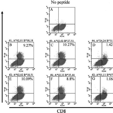 Hla Stabilization Assay To Measure Peptide Binding To Hla A21 The