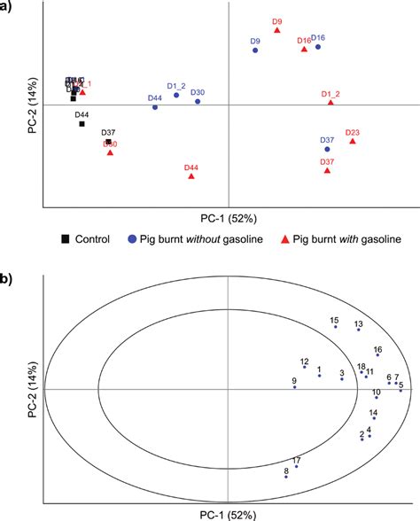 pca a scores and b correlation loadings plots generated using