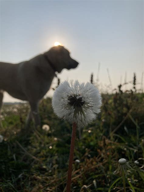 Farm Update September 16 Farm Happenings At Steel Pony Farm Harvie