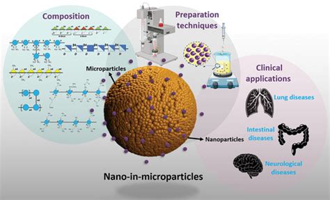 Multifunctional Systems Based On Nano In Microparticles As Strategies For Drug Delivery