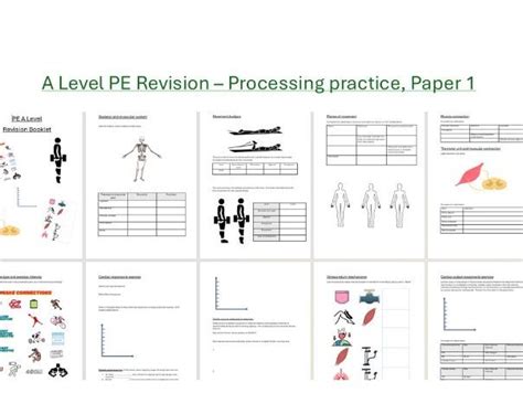 A Level Pe Revision Booklet Teaching Resources