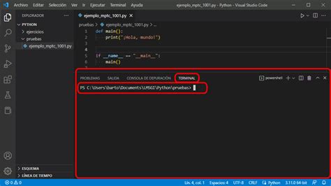 Python testing Python Bartolomé Sintes Marco mclibre org