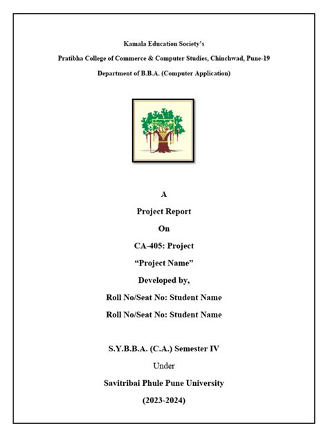 ca 405 project four pages of project documentation sy semiv pdf