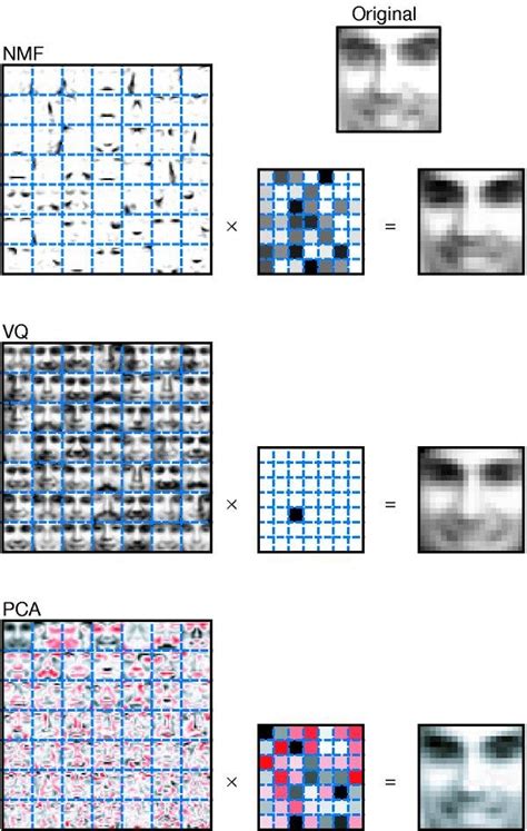 Comparison Of Representation Of Face Using NMF Top VQ Middle And Download Scientific