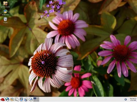 Centos Enterprise Linux Step By Step Guide Customizing Your Gnome Session