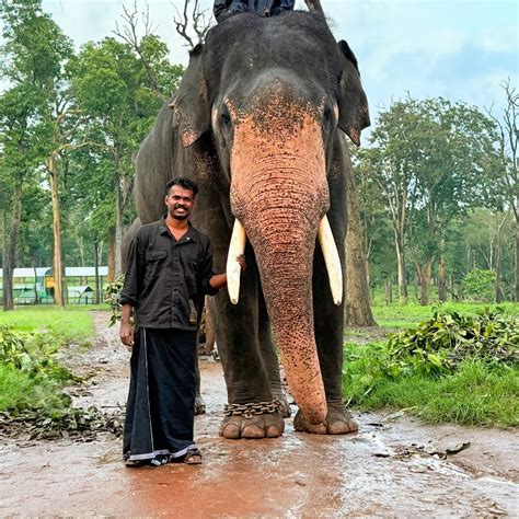 Apkrfkyxqggrkj00xqz6nqkojjtey6wlnai7l6etu7wznas900 C K C0x00ffffff No Rj