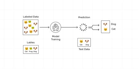 Top 15 Data Science Projects In Python With Source Code