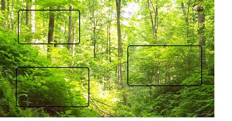 Android Best Solution To Draw Responsive Areas On Image Stack Overflow