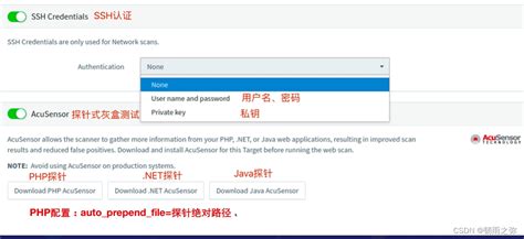 【awvs破解安装学习】awvs15 Csdn博客