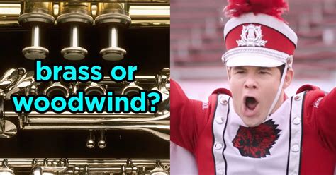 Musical Instrument Sorting Quiz