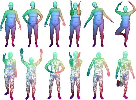 Figure 13 From Self Supervised Learning For Multimodal Non Rigid 3d Shape Matching Semantic