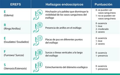 ¿tienes Esofagitis Eosinofílica ¿sabes Qué Es La Puntuación Erefs