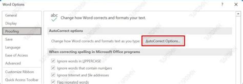 Create Autocorrect Dynamic Entries In Microsoft Word