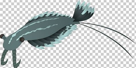 Digital Art Anomalocaris Png Clipart Anomalocaridid Anomalocaris