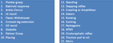 Neonatal Development Flashcards Quizlet