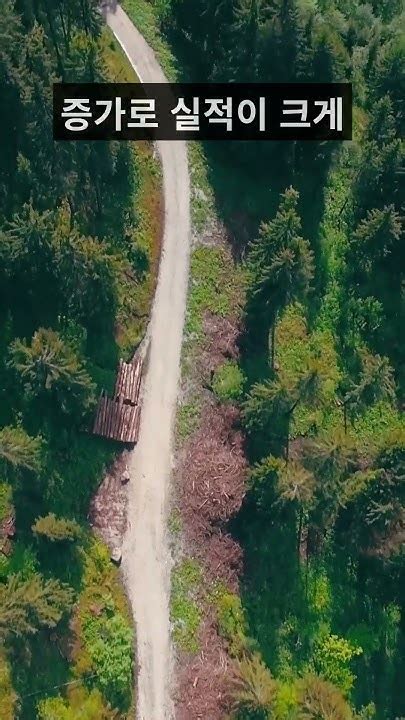 Tsmc 4분기 순이익 57 증가로 사상 최대 실적 달성 Tsmc실적 반도체산업 Ai칩수요 파운드리시장 기술혁신 Youtube