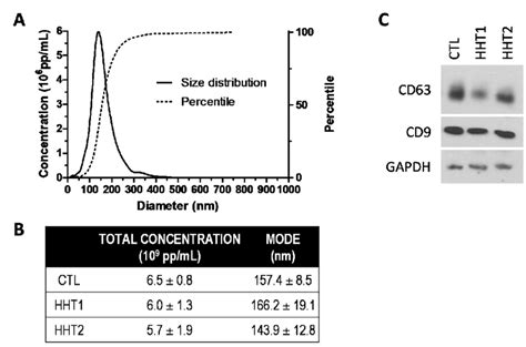 Plasma Exosome Characterization A A Representative Graph From Nta