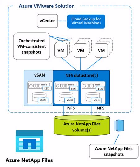protecting azure vmware solution vms and datastores on azure netapp
