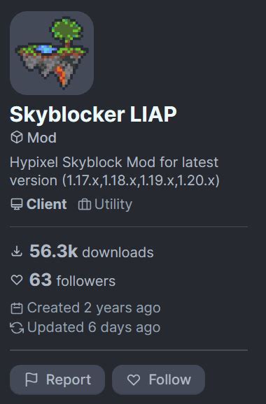 This Mod Safe R Hypixelskyblock