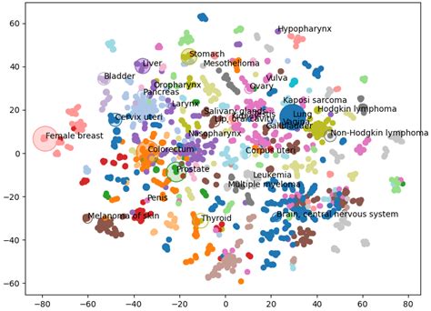 Exploring Cancer Types With Neo4j Bard Ai
