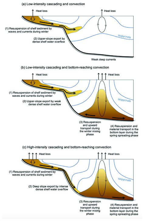 Sketches Of The Transport Pathways Of Particulate Fluxes From The