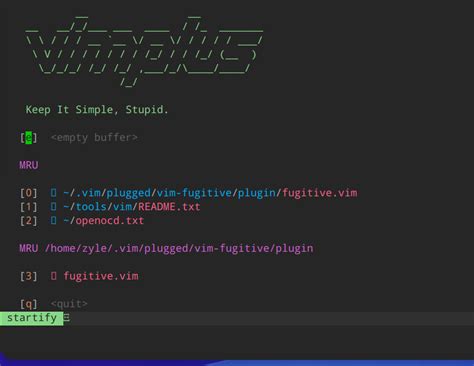 vimplus的安装和使用问题 xiaoleebaba 博客园