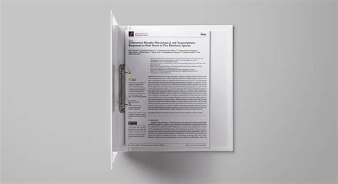 Differential Morpho Physiological And Transcryptomic Responses To Heat Stress In Two Blueberry