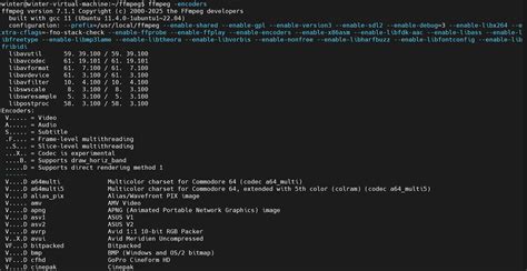 【ffmpeg从入门到精通】第二章 Ffmpeg工具使用基础ffmpeg怎么用 Csdn博客