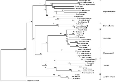 Dendrogram Constructed From The Rapd Data Using The Genetic Distances