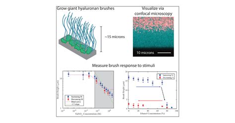 Giant Hyaluronan Polymer Brushes Display Polyelectrolyte Brush Polymer Physics Behavior Acs