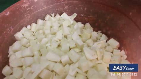 2식품기계야채절단기깍두기기계무랑이 100 깍두기 썰기 전체동영상무사각절단기깍두기절단기 Youtube