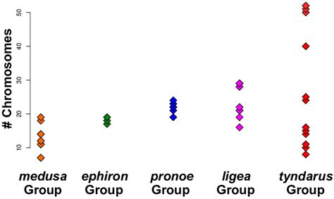 Dot Plot Summarizing The Variation In Haploid Chromosome Numbers Among Download Scientific