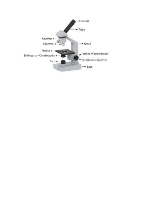 Microscop I O Pdf