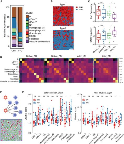 High Multiplex Single Cell Imaging Analysis Reveals Tumor Immune Contexture Associated With
