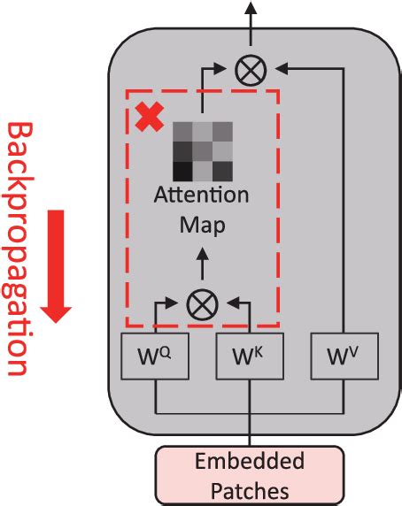 Figure 1 From Towards Transferable Adversarial Attacks On Image And