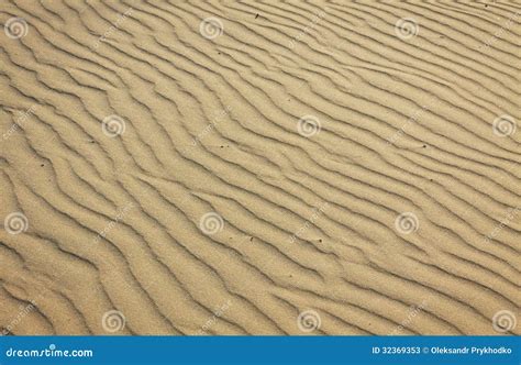 Small Sand Dunes On The Beach Stock Image Image Of Nature Rough 32369353