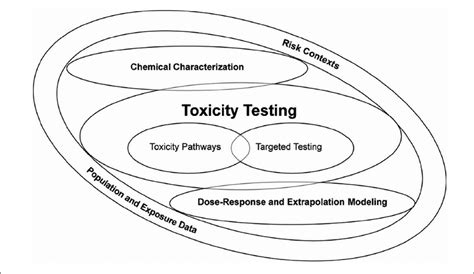 Toxicity Testing In The 21 St Century Summarizing Sketch Of The Vision Download Scientific