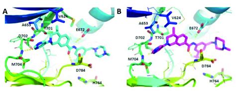 Docking Models Of Compounds 21 A And 23 B Into Ddr1 Binding Pocket